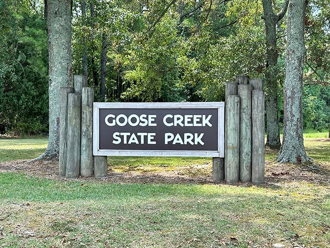 The entrance sign promises little but delivers everything &ndash; like finding out that modest-looking restaurant actually serves the meal of your life.