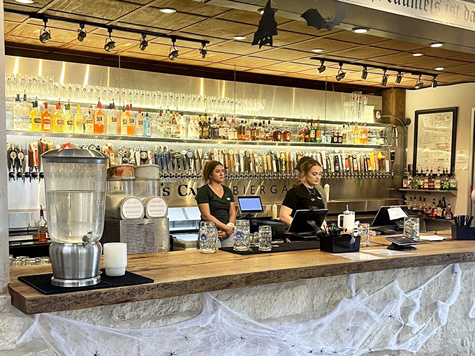 Behind every great German restaurant is a bar with more taps than a dance recital. These bartenders are basically beer sommeliers with better jokes.