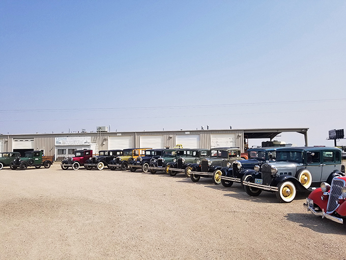 The museum's outdoor display creates an impromptu car show. These beauties, arranged like a mechanical family portrait, showcase America's automotive evolution.
