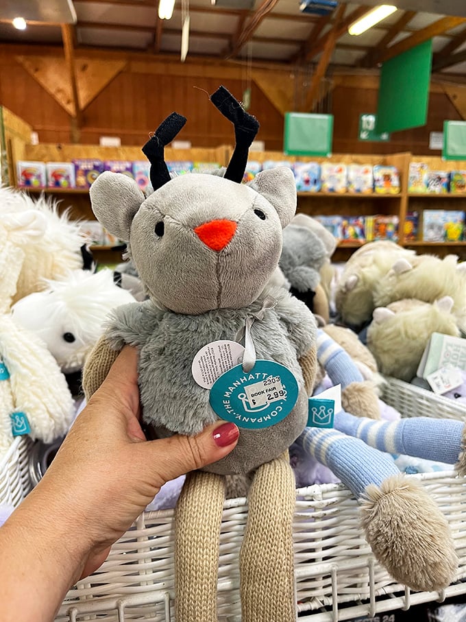 Not all treasures here have pages! This adorable plush friend is proof that Green Valley Book Fair understands readers need cuddle breaks between chapters.
