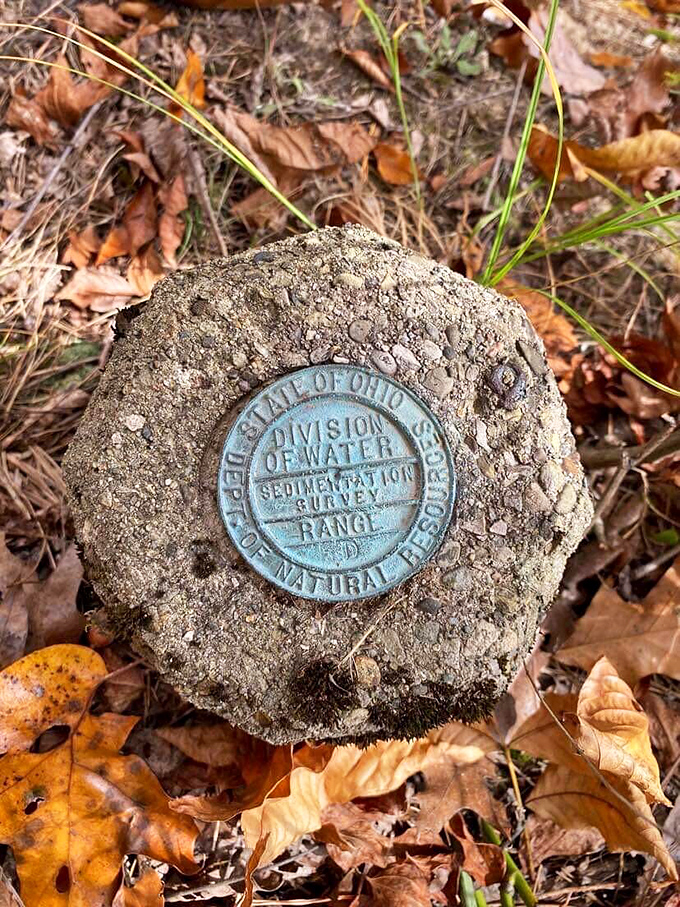 Hidden treasures beneath your feet. This survey marker has quietly witnessed decades of visitors while maintaining its stoic, bureaucratic dignity.
