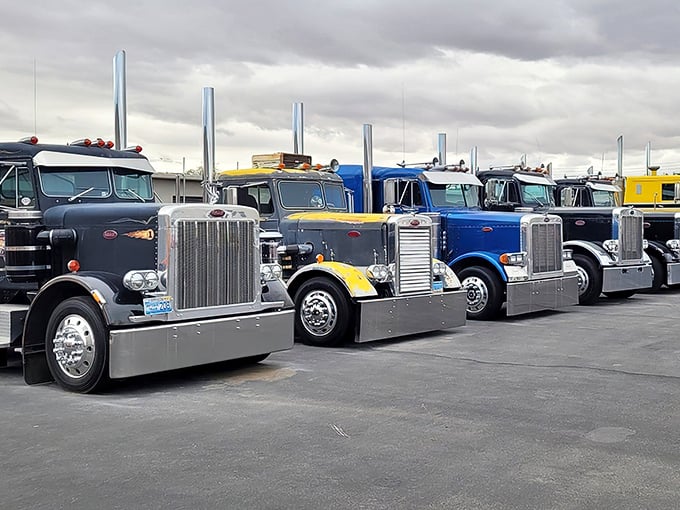 The workhorses that built America, lined up like a chrome and steel army. These magnificent trucks remind us that beauty exists in function too.