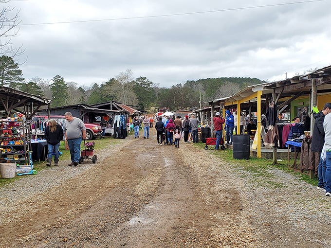 Treasure hunters paradise! Collinsville Trade Day transforms dirt paths into bustling marketplaces where one person's junk becomes another's jackpot.
