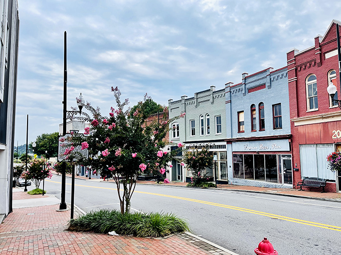 Danville's historic downtown blooms with possibility, where colorful storefronts and flowering trees create postcard-worthy charm without the postcard prices.