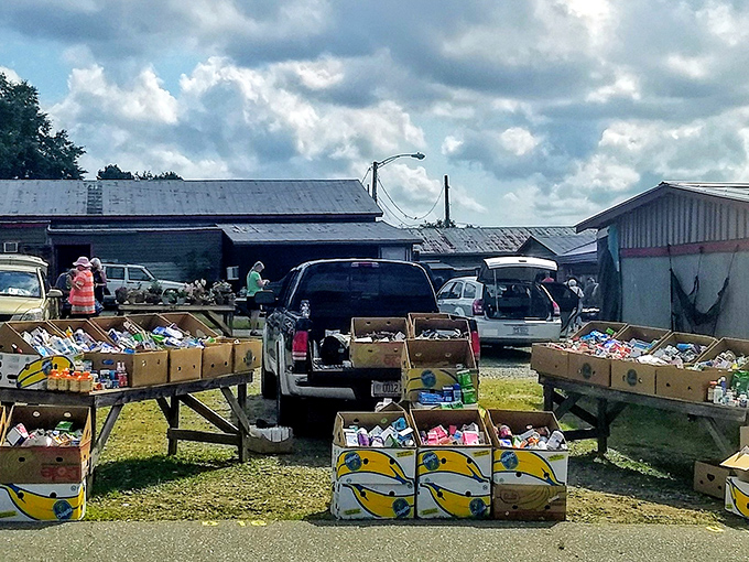 Banana boxes of bargains! Where else can you find treasures organized in fruit containers that once held the official scale of comedy?