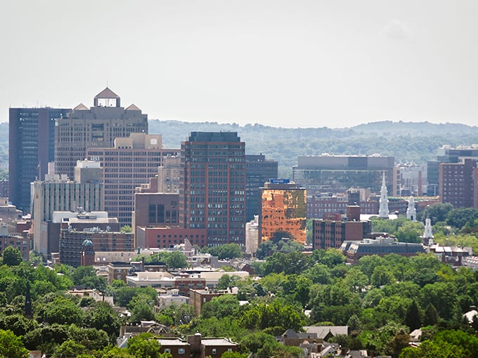 New Haven's skyline stretches toward the horizon, where historic architecture meets modern buildings amid a sea of greenery.
