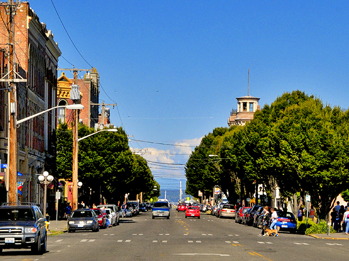 Port Townsend&rsquo;s tree-lined streets feel like a time capsule &ndash; classic architecture framed by lush green canopies.