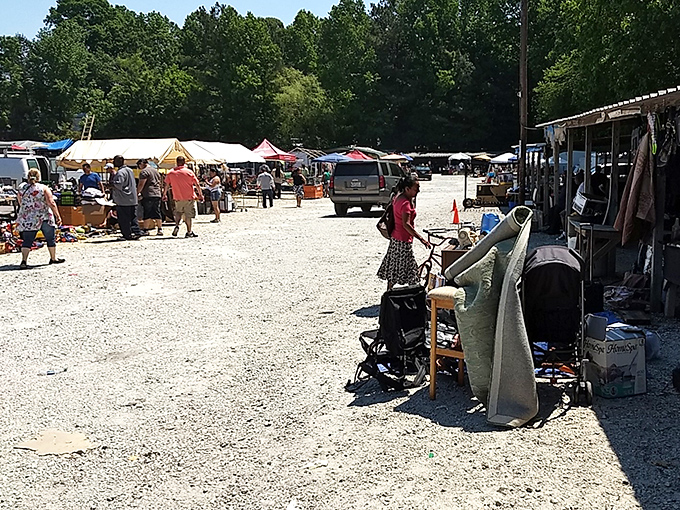 Oh, the beautiful chaos! Sunlight bathes this dusty wonderland where one person's castoffs become another's prized possessions.