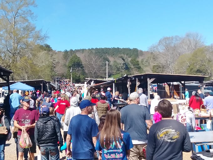 Weekend warriors unite! The crowd at Collinsville Trade Day proves that bargain hunting is Alabama's favorite competitive sport.