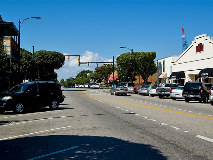 Main Street Fairhope looks like it was designed by someone who said, "Let's make this place so pretty that people will forget they have errands to run."