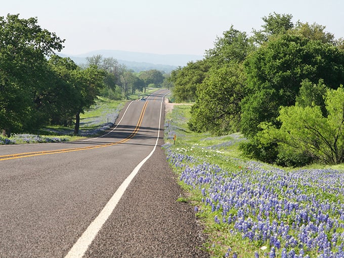 Those famous Hill Country bluebonnets transform ordinary roads into magical pathways that make retirement feel like living in a painting.