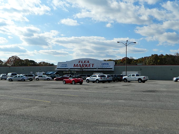 With cars already lined up, this Newport News institution beckons shoppers with the three magic words every bargain hunter loves: "OPEN 5 DAYS."