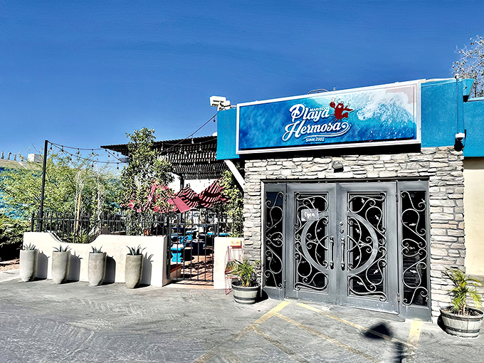 That outdoor patio at Playa Hermosa isn't just pretty&mdash;it's where desert meets sea on your plate. Imagine sipping something cold while ocean flavors dance in the Arizona sunshine.