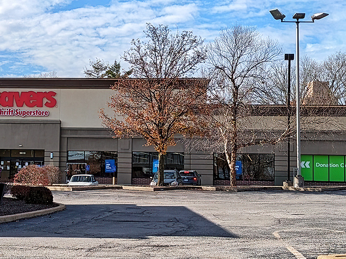 A thrifter's paradise under blue skies, where every aisle promises the thrill of finding that perfect something you never knew you needed.