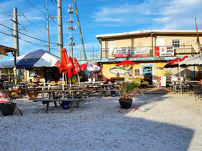 Those outdoor tables at Seither's promise the kind of seafood feast where napkins are merely a suggestion, not a solution.