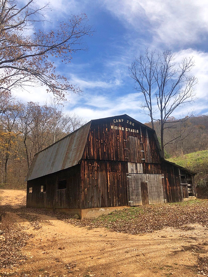 This weathered Camp Zoe riding stable whispers tales of Ozark history. Like finding a vintage vinyl record in perfect condition, some treasures improve with age.