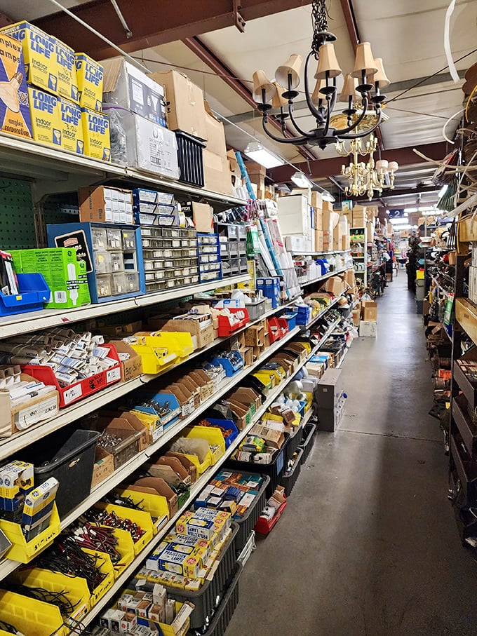 Chandeliers dangling above hardware bins&mdash;where else can you find elegant lighting fixtures hovering over nuts and bolts? Only at Surplus City.