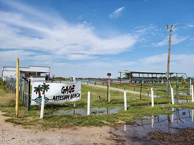 The entrance sign says it all—palm trees in Oklahoma? This artesian oasis is the geographical plot twist you never saw coming.