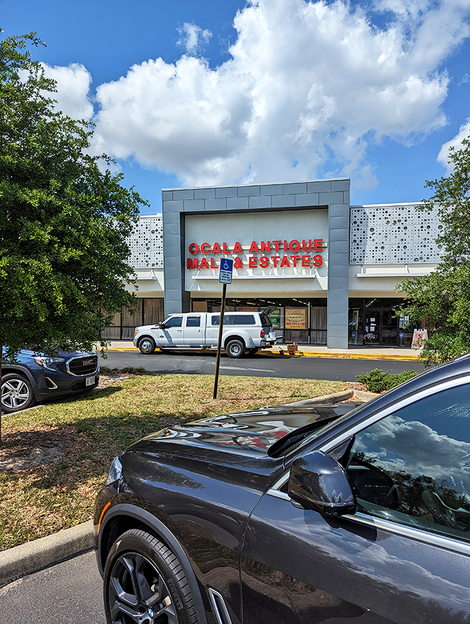 Under Florida's brilliant blue skies, this unassuming storefront hides a labyrinth of history waiting to be rediscovered and rehomed.