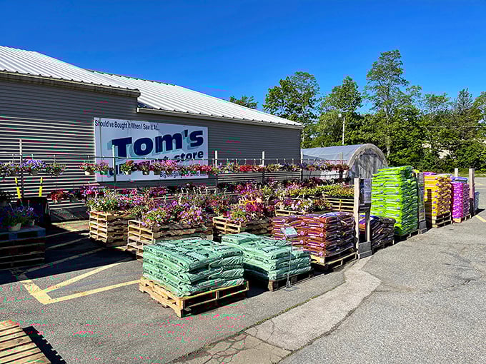 Blue skies and bargains &ndash; Tom's welcomes shoppers with a no-frills approach that says "we saved the fancy stuff for the prices."