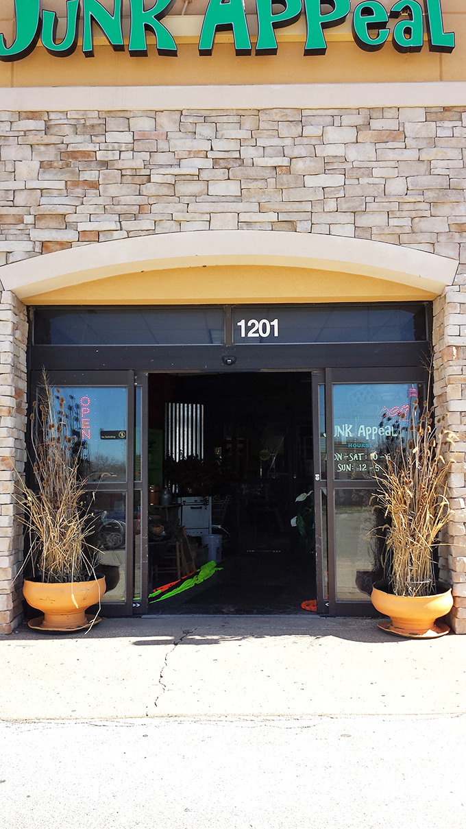 Two terracotta planters stand sentinel at the entrance, nature's greeters before you dive into this cave of wonders at 1201.