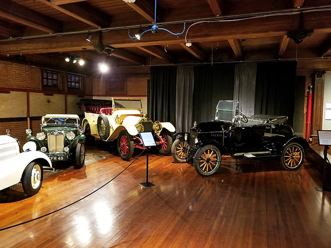 Vintage automobiles gleam under soft lighting, their polished wooden floors reflecting decades of automotive innovation. This isn't your average garage collection!
