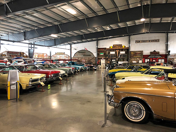 Classic American muscle lines up like colorful candy in a vintage store, each vehicle telling its own story of the golden age of automotive design.