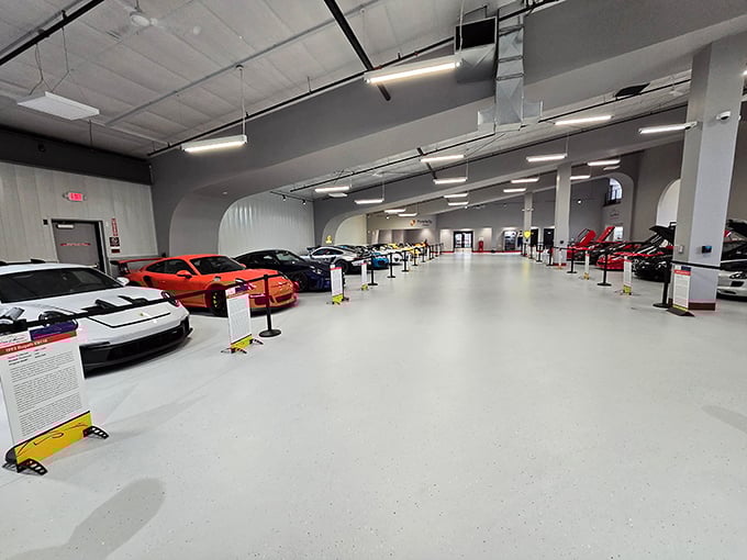 White floors, pristine lighting, and exotic cars lined up like mechanical celebrities at their own red carpet event. Automotive heaven exists in Birdsboro!