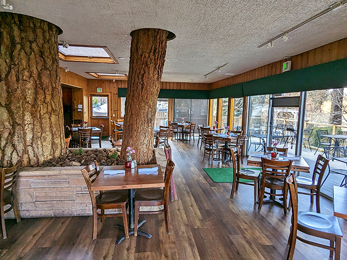 Where nature meets dining! Two majestic ponderosa pines grow straight through the floor and ceiling, creating perhaps Oregon's most unique restaurant centerpiece.
