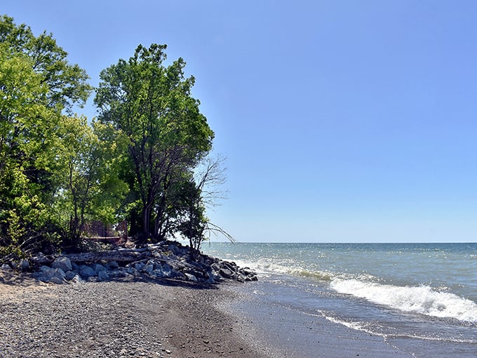 Nature's perfect balance of forest and shore. The trees stand like guardians watching over Lake Michigan's gentle waves as they kiss the shoreline.