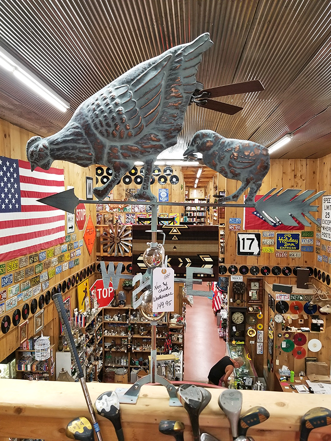 Where metal birds of prey watch over a kingdom of collectibles. This weathervane display proves that at Junk-Shun, even the ceiling deserves your attention.