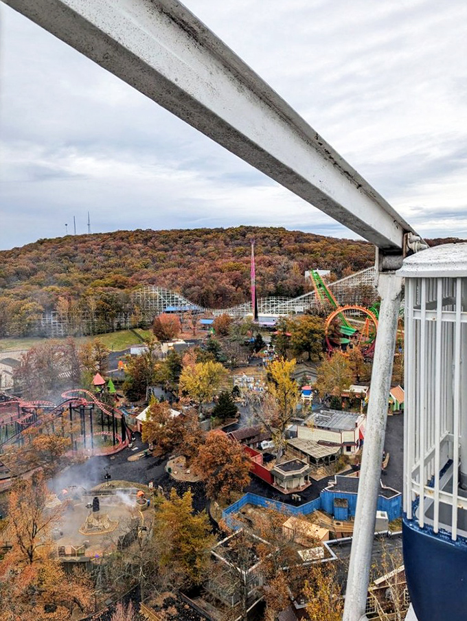 Fall foliage creates nature's perfect backdrop for mechanical thrills, proving Missouri knows how to do autumn almost as well as adrenaline rushes.
