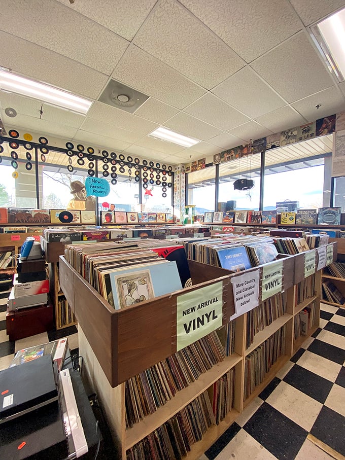 Vinyl records organized with loving care, where analog music finds sanctuary in a digital world. The black and white floor adds a perfect retro touch.