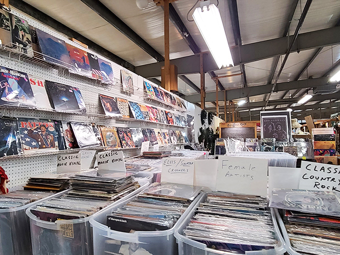 Vinyl heaven awaits music lovers with meticulously organized crates of nostalgia. From Classic Rock to Country, your fingers will get that satisfying thwap-thwap workout.