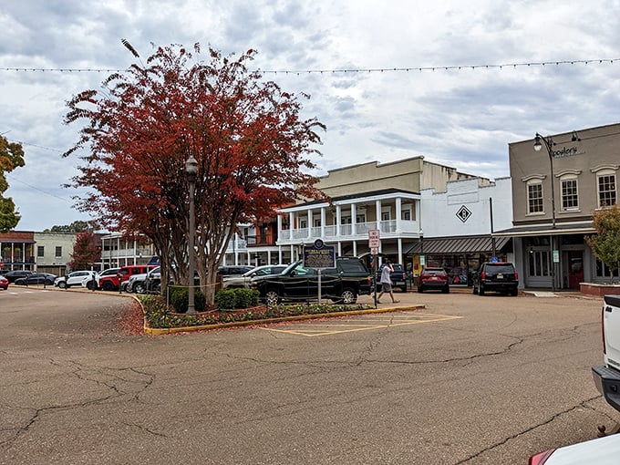 Fall in Oxford transforms the town square into a painter's palette, where crimson trees stand sentinel over historic buildings that have witnessed generations.
