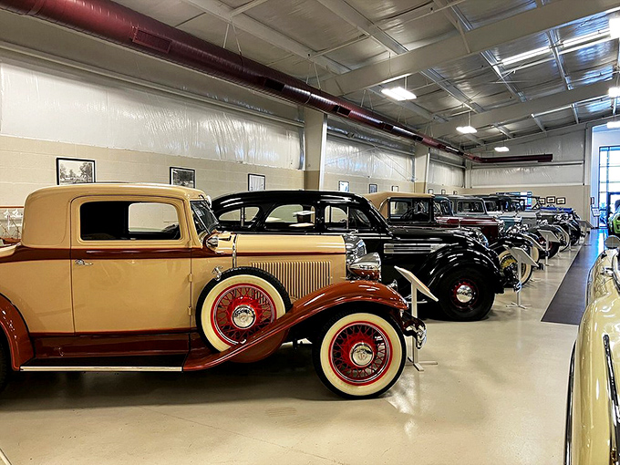 A parade of pristine vintage automobiles lines the spotless showroom floor, each one telling a different chapter of America's love affair with the open road.