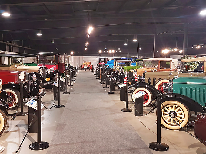 Row upon row of meticulously preserved vintage automobiles stand at attention like mechanical soldiers from another era, each with stories to tell.