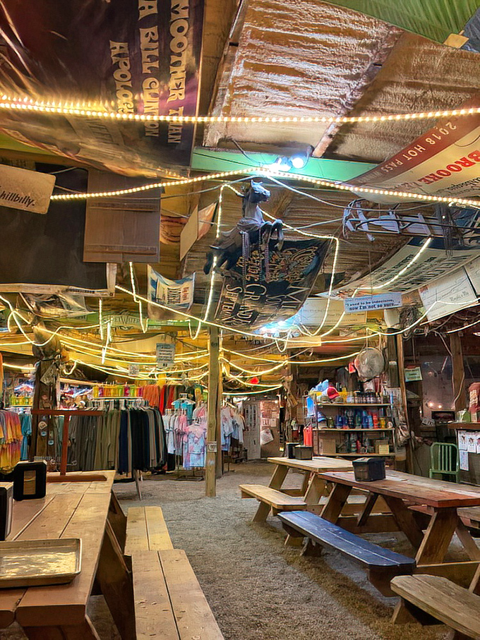 Dining under dollar bills and string lights &ndash; The Shed's interior feels like the coolest garage sale that accidentally became a restaurant legend.