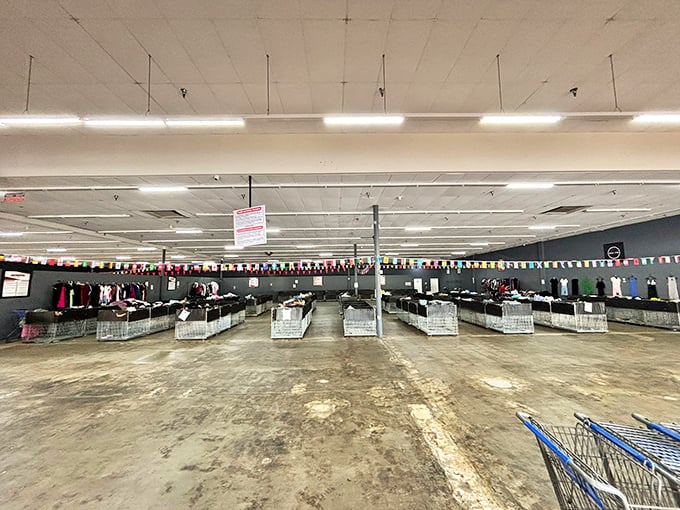 Row after row of bargain bins await exploration. The international flags overhead make treasure hunting feel like an Olympic sport.