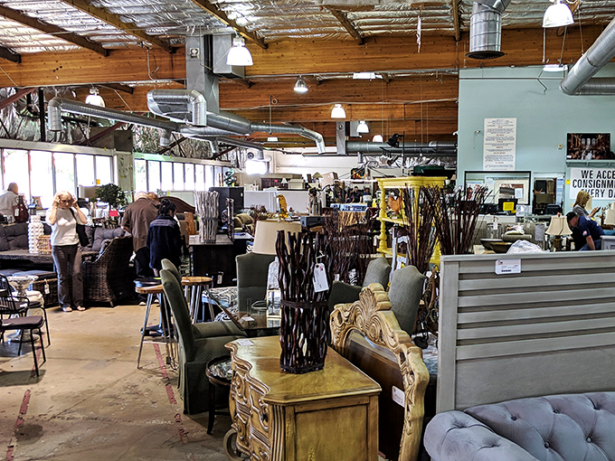 Welcome to furniture paradise, where the industrial ceiling says "warehouse" but the merchandise whispers "luxury home magazine spread."