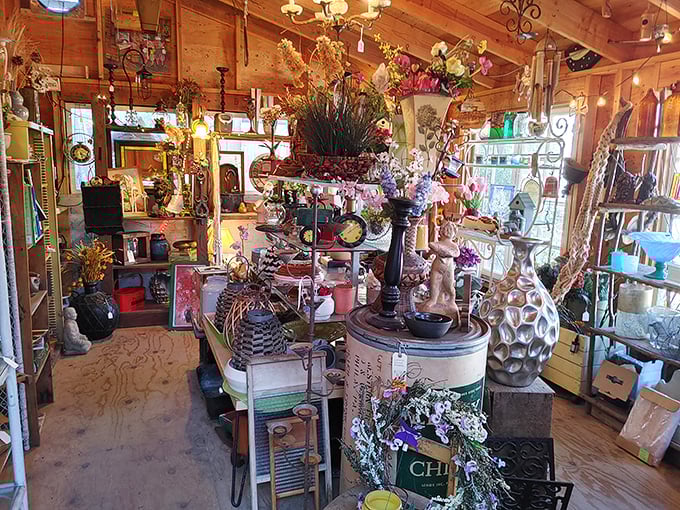 Step inside and prepare for sensory overload – in the best possible way. Every inch tells a story, every corner hides a potential discovery.