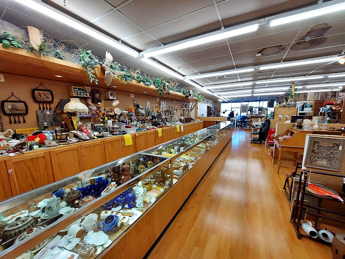 Long aisles with glass cabinets stretch toward infinity, each step promising the thrill of discovering your next conversation piece.