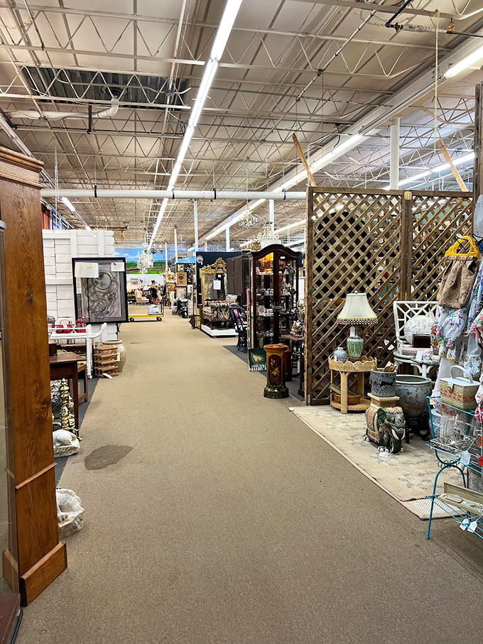 Wide, well-lit aisles invite exploration rather than claustrophobia—the antithesis of those cramped vintage shops where you're afraid to turn around.