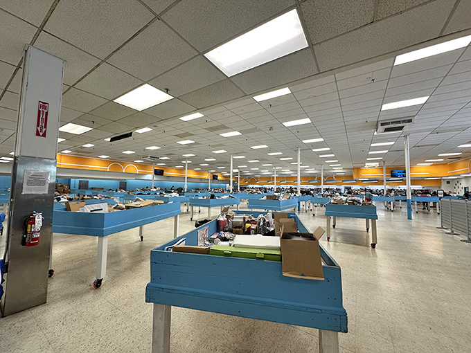 Row after row of blue bins stretch toward the horizon, each one a potential goldmine of discounted goods waiting to be discovered.