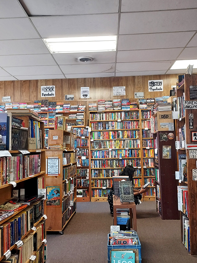 Floor-to-ceiling shelves create a bibliophile's paradise where time stands still and the only notification you'll worry about is your stomach reminding you it's dinnertime.