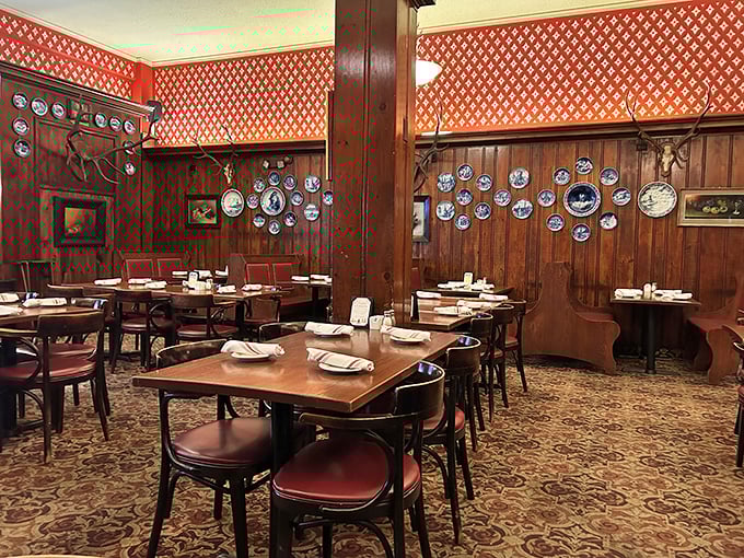 Stepping inside feels like teleporting to Bavaria&mdash;dark wood paneling, decorative plates, and antlers create a warm German time capsule in downtown Springfield.