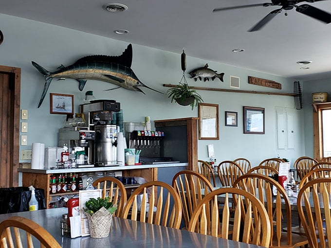 Mounted marlins keep watch over diners like aquatic guardians. The nautical decor isn't just theme&mdash;it's a promise of what's swimming onto your plate.