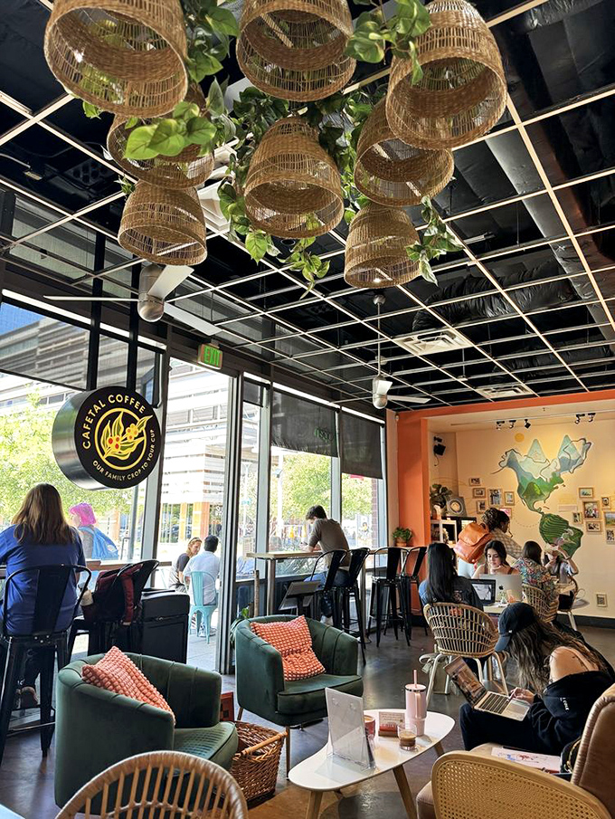 Those woven basket light fixtures aren't just for show&mdash;they're visual appetizers preparing you for the cultural feast that awaits in your cup. Pure Colombian coffee ambiance.