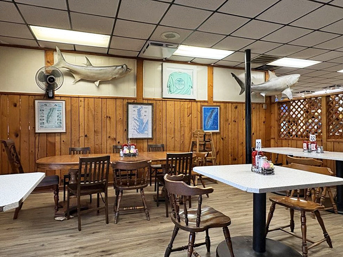 Wooden paneling and mounted fish create that perfect "I've discovered somewhere authentic" feeling. Not designed by an Instagram influencer, but by generations of seafood lovers.