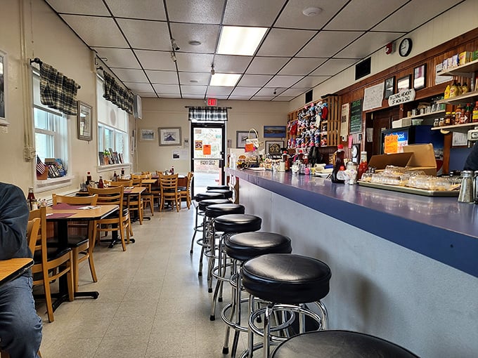 Classic counter seating where strangers become friends over coffee refills and where the breakfast magic happens in full view of appreciative audiences.